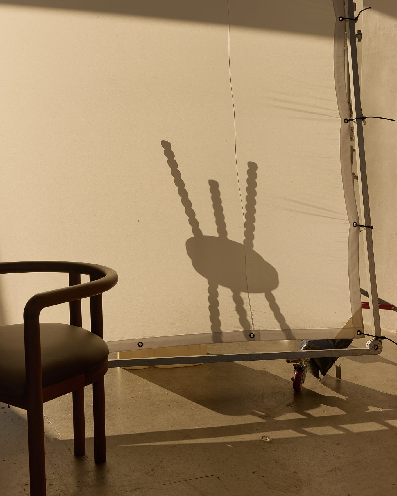 Behind the Scenes: Elemental Timber Collection